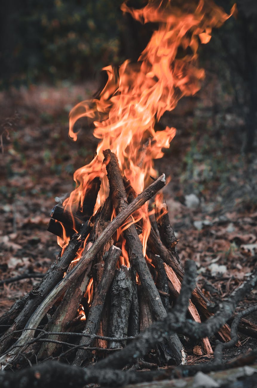 A Fire Shut Up in My Bones – Josh Cehulik